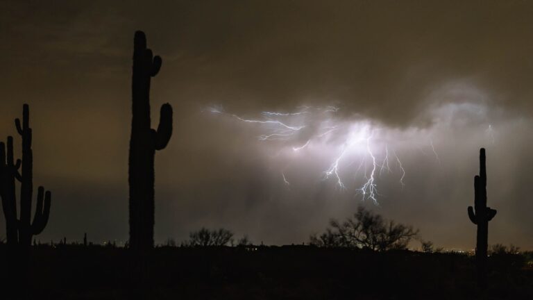 Wind & Water Damage: The Multiple Threats of Monsoon Season ...